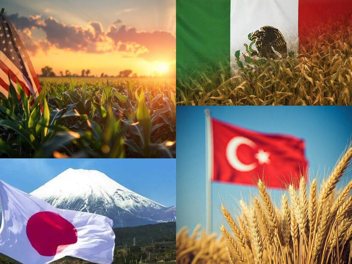 Top 10 Largest Agricultural Producing Countries in the World 2025